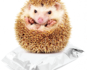 Jindal Films – Global Solutions For Packaging Innovation